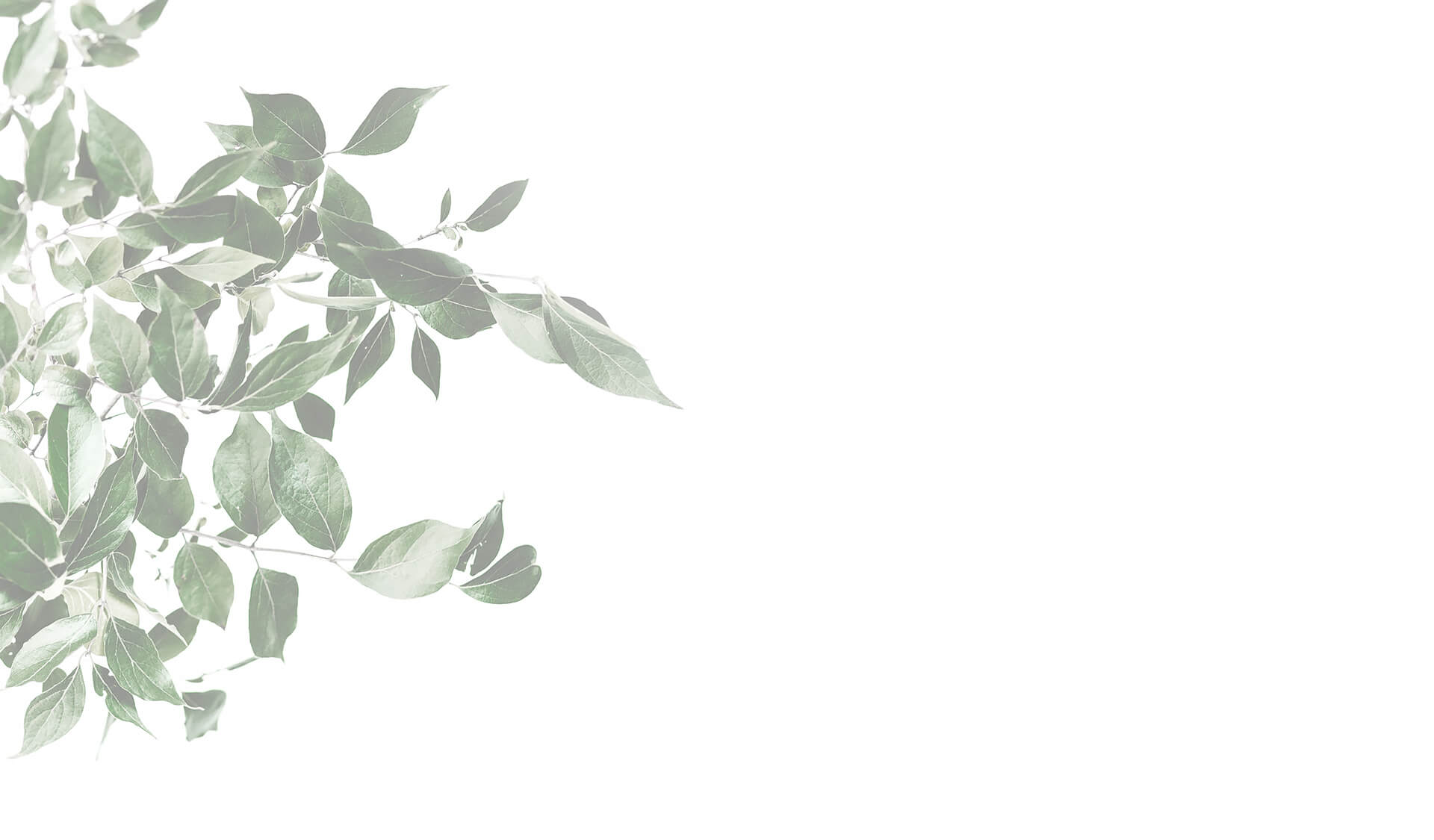 Therapy For Men | Melissa Bennett-Heinz